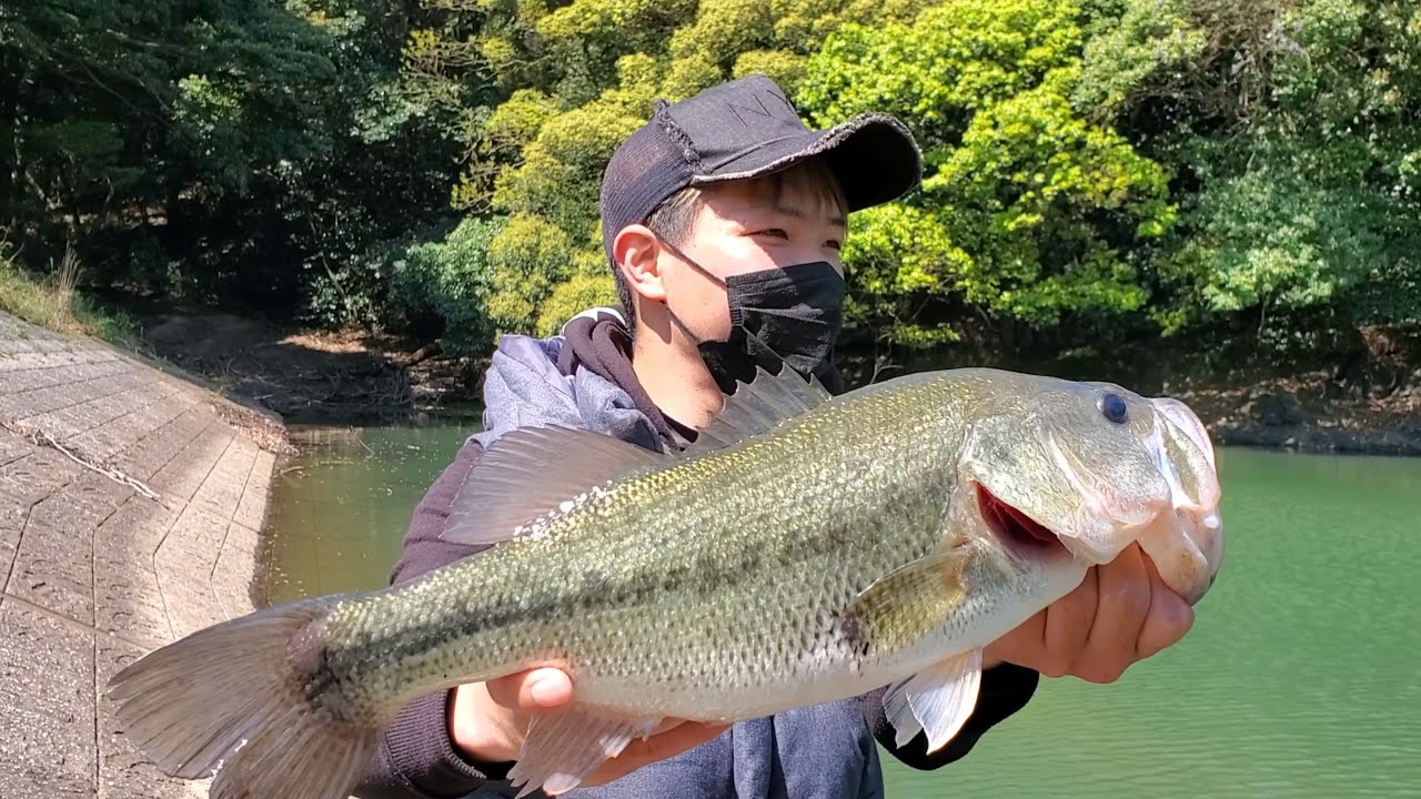 RAIDJAPAN新商品BIG2way使ってみたらモンスターが釣れた【バス釣り】【RAIDJAPAN】【ビッグツーウェイ】【福岡バス釣り ...