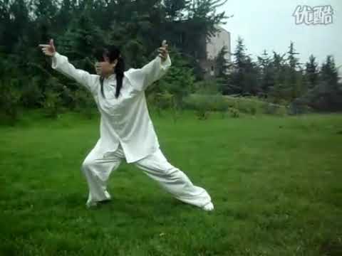 Li Yujie (李雨洁), Song Shi Xingyi (宋氏形意), Wu Xing Quan - YouTube