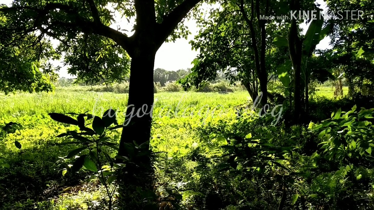 KAWAYANAN SA QUEZON - Brgy. Libjo Infanta,Quezon - YouTube