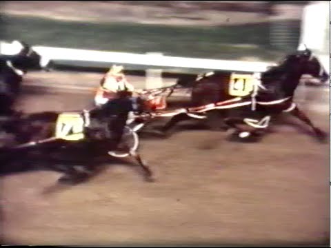 Harness Racing,Harold Park-18/04/1980 (Bad Luck-H.Kelly) - YouTube