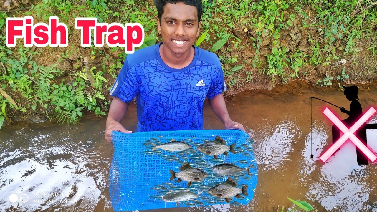 Fish Trap | ഇതൊന്നു try ചെയ്തു നോക്കു..| simple fish trap | fish trap ...