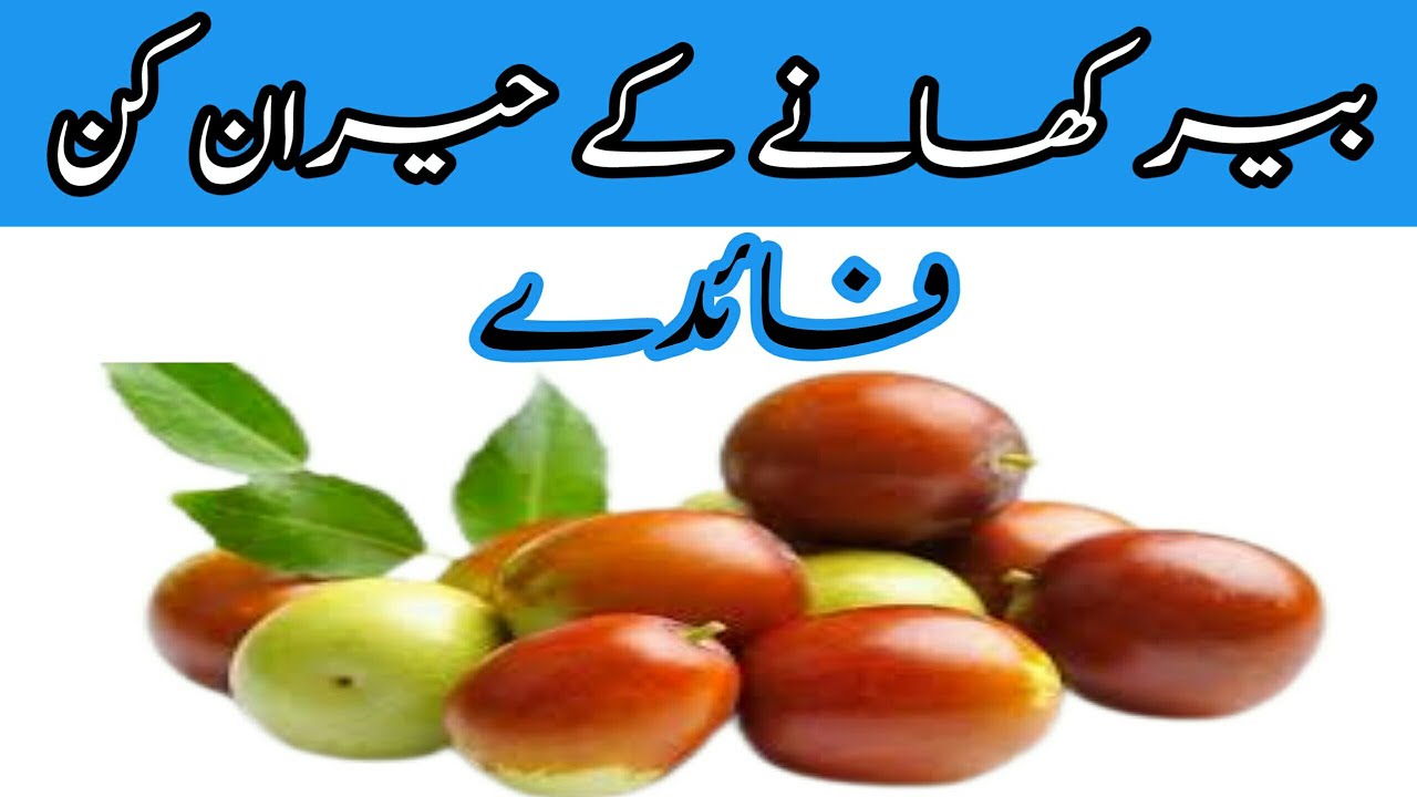 bair khane ke fayde | health benefits of bair | بیر کھانے کے فائدے ...