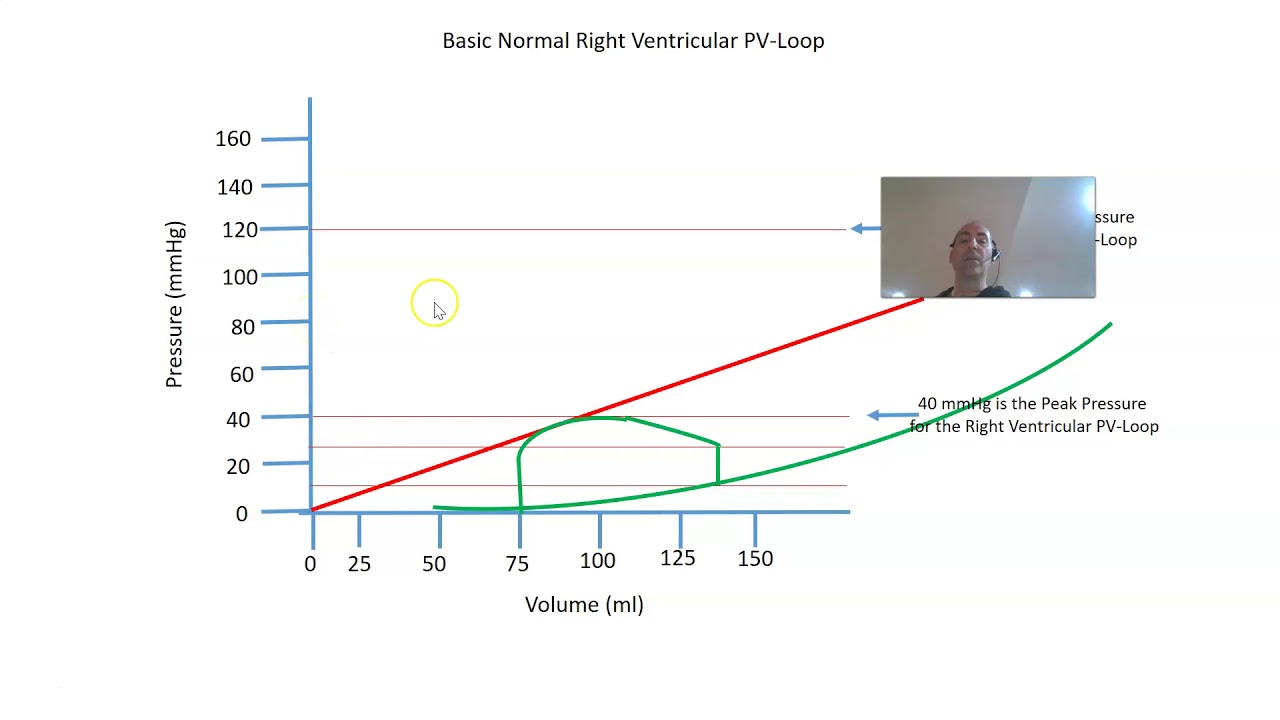 Cardiovascular Short Video: PV-Loop Video #6 Right Ventricle - YouTube