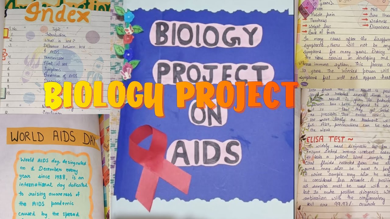 Biology project for class 12th on aids CBSE/HBSE ..well detailed ...