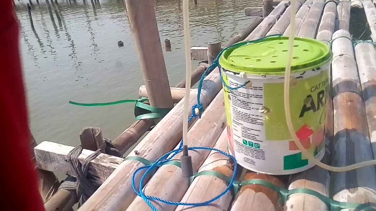 Explore rumpon paling besar di semarang - YouTube