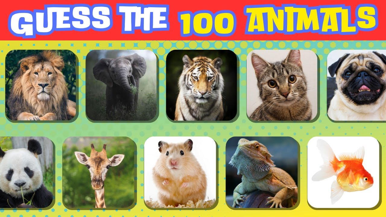 Guess the 100 Animals Quiz (Impossible) | 100 Animals Name - YouTube
