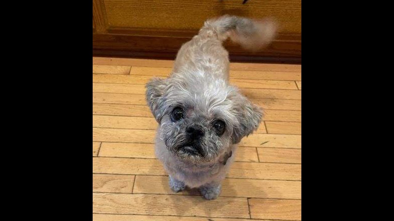 Benny • Talking about delays in mealtime. - YouTube