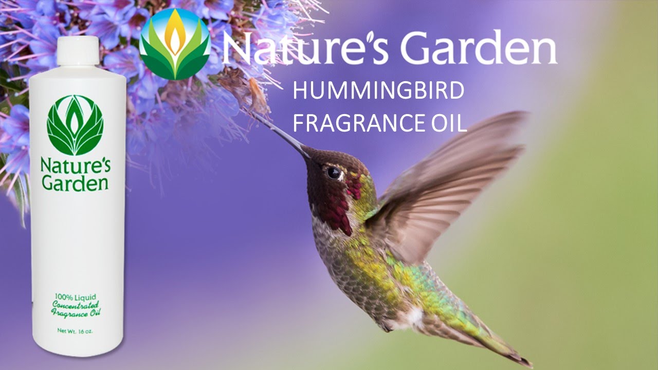 Hummingbird Fragrance Oil- Natures Garden - YouTube
