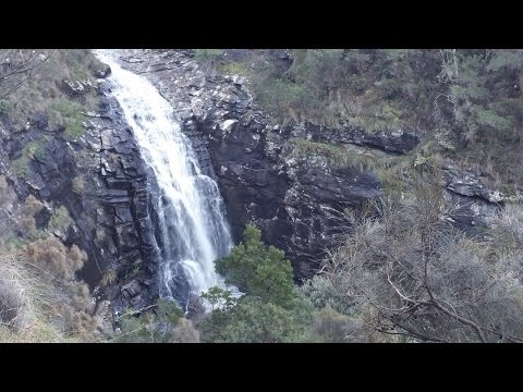 Sheoak Falls, Great Otway National Park in Australia - YouTube