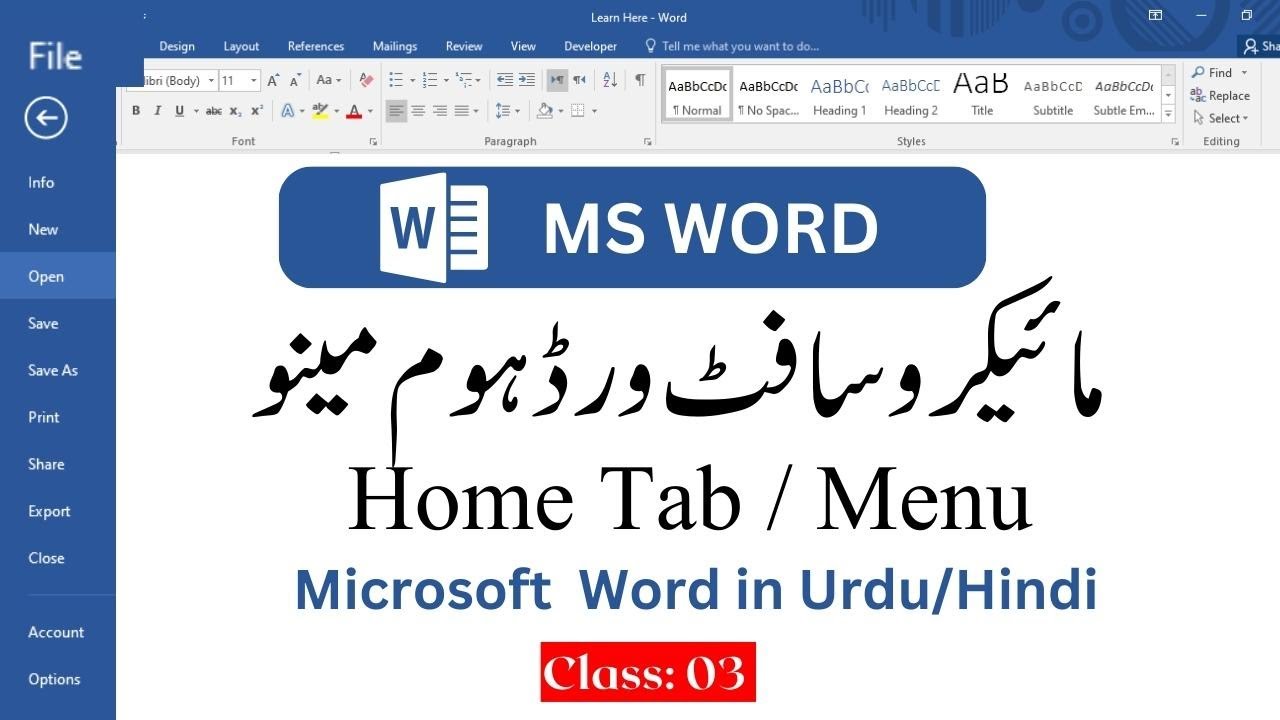 ms word tutorial, Home Tab in Urdu/Hindi || ms word home tab explained ...