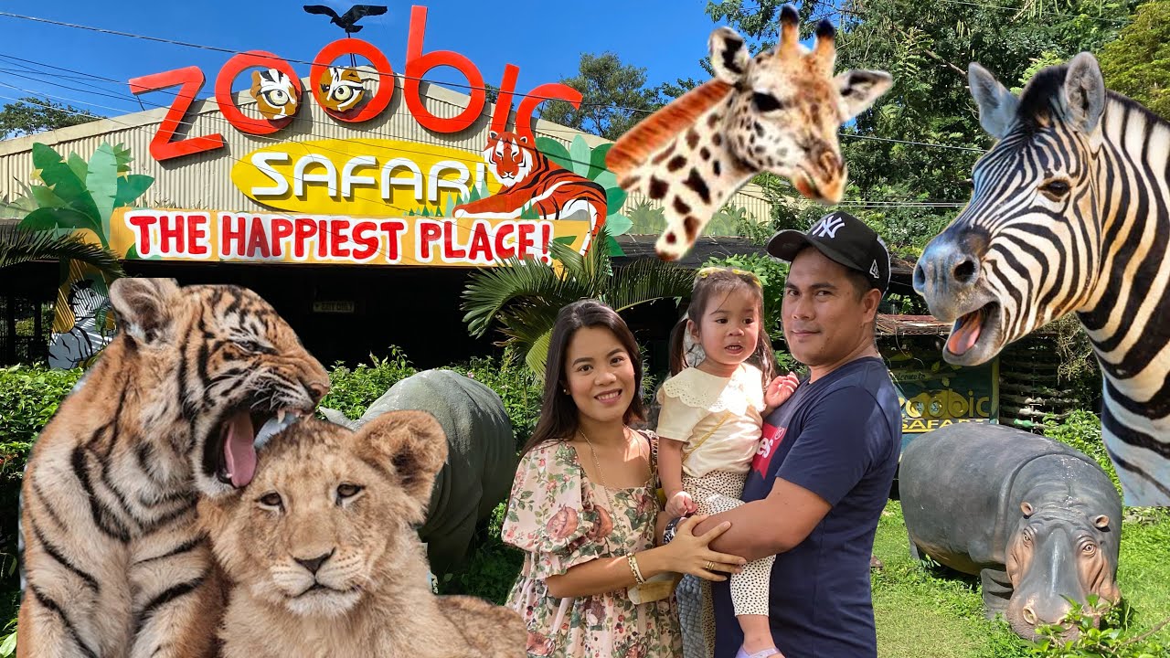 Glamping at ZOOBIC SAFARI | Subic Adventure - YouTube