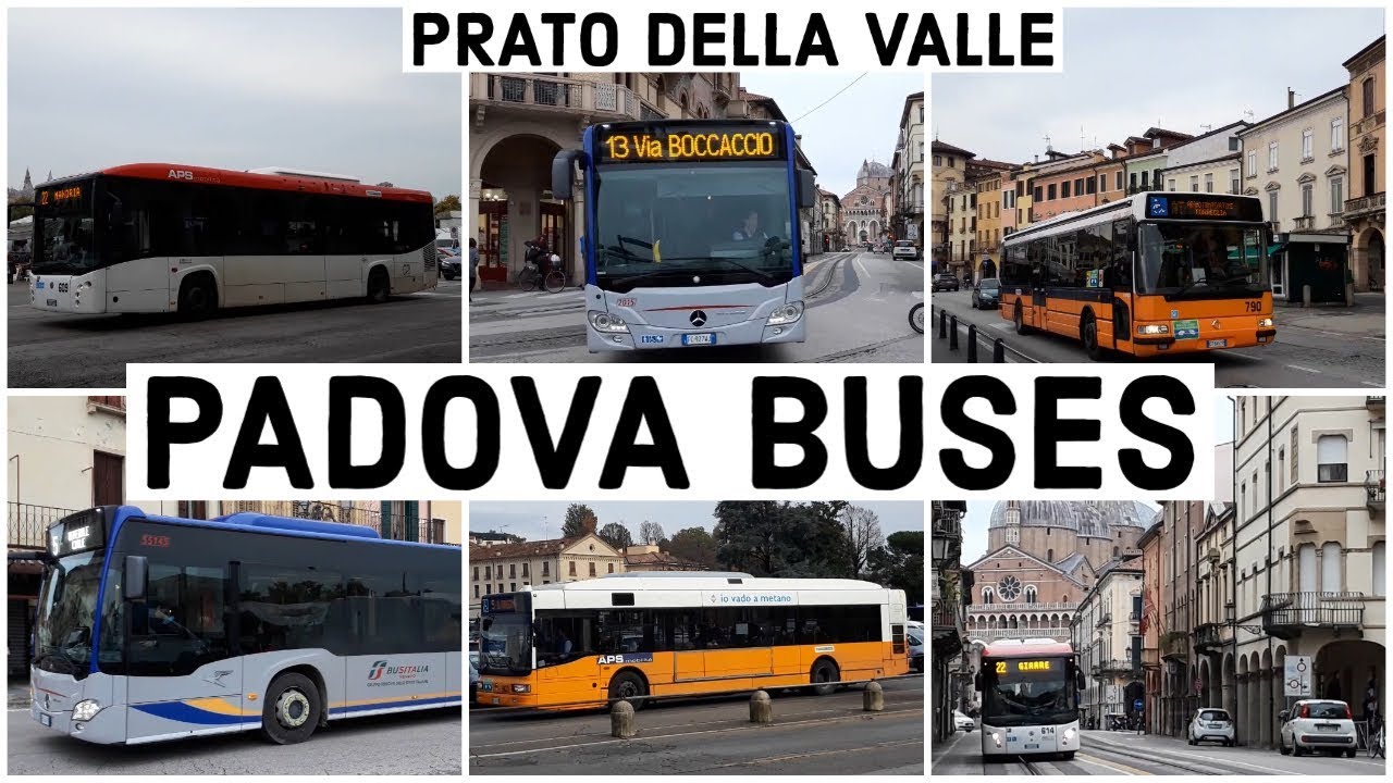 Buses in Padova | Prato della Valle - YouTube