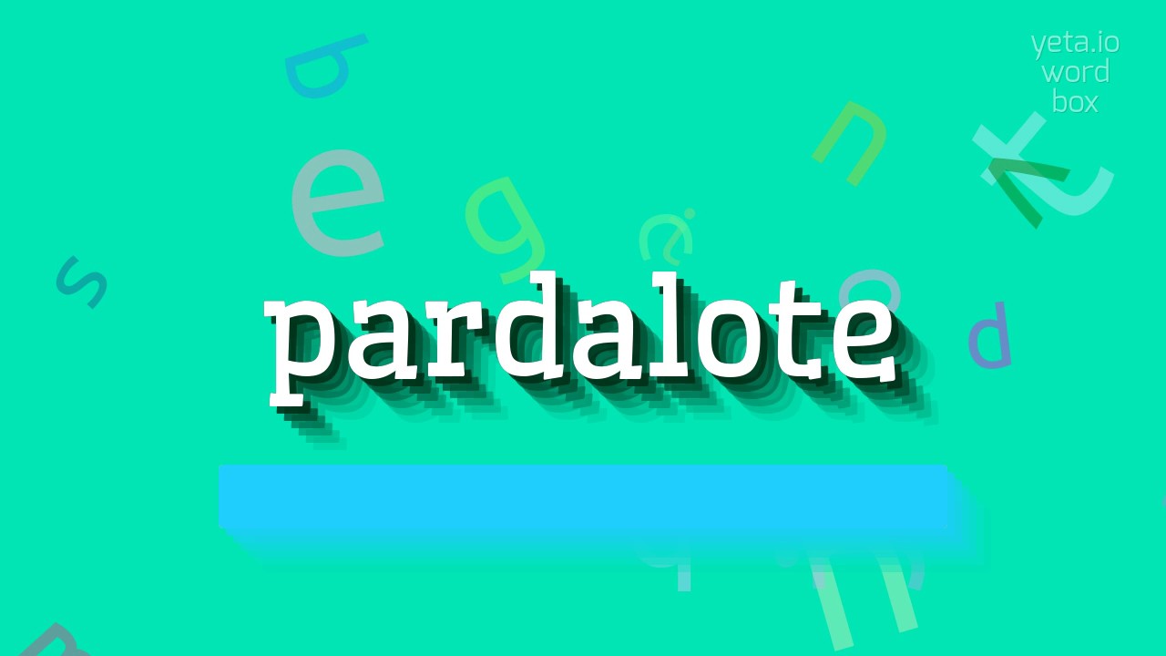 How to say "pardalote"! (High Quality Voices) - YouTube