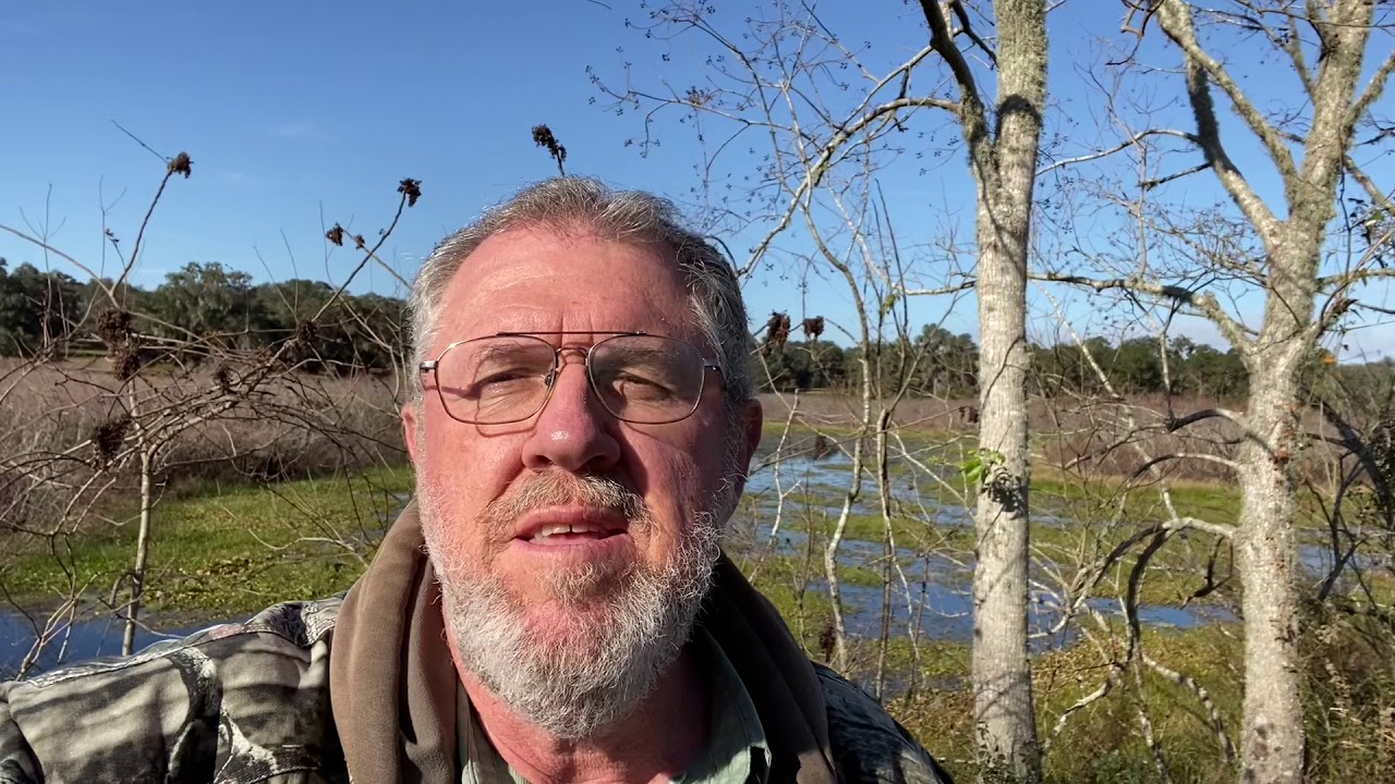 Humans as stewards of the land - YouTube