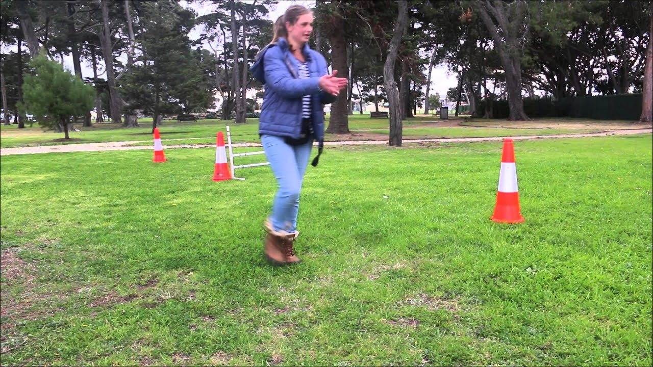 Agility Jumps Handling - YouTube