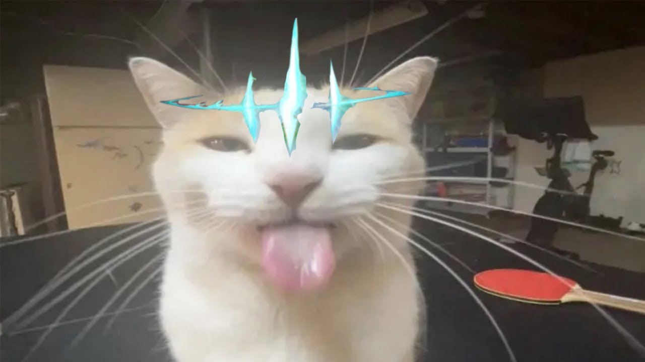 BOO! Did I SCARE You? - YouTube