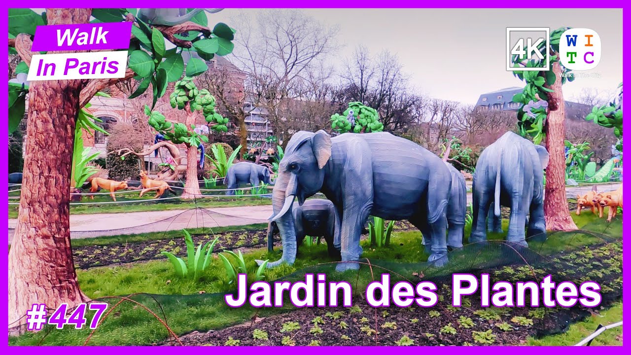 Jungle in the Jardin des Plantes (Garden of plants), Paris, France ...