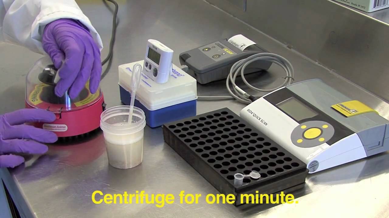 RIDA QUICK DON - YouTube