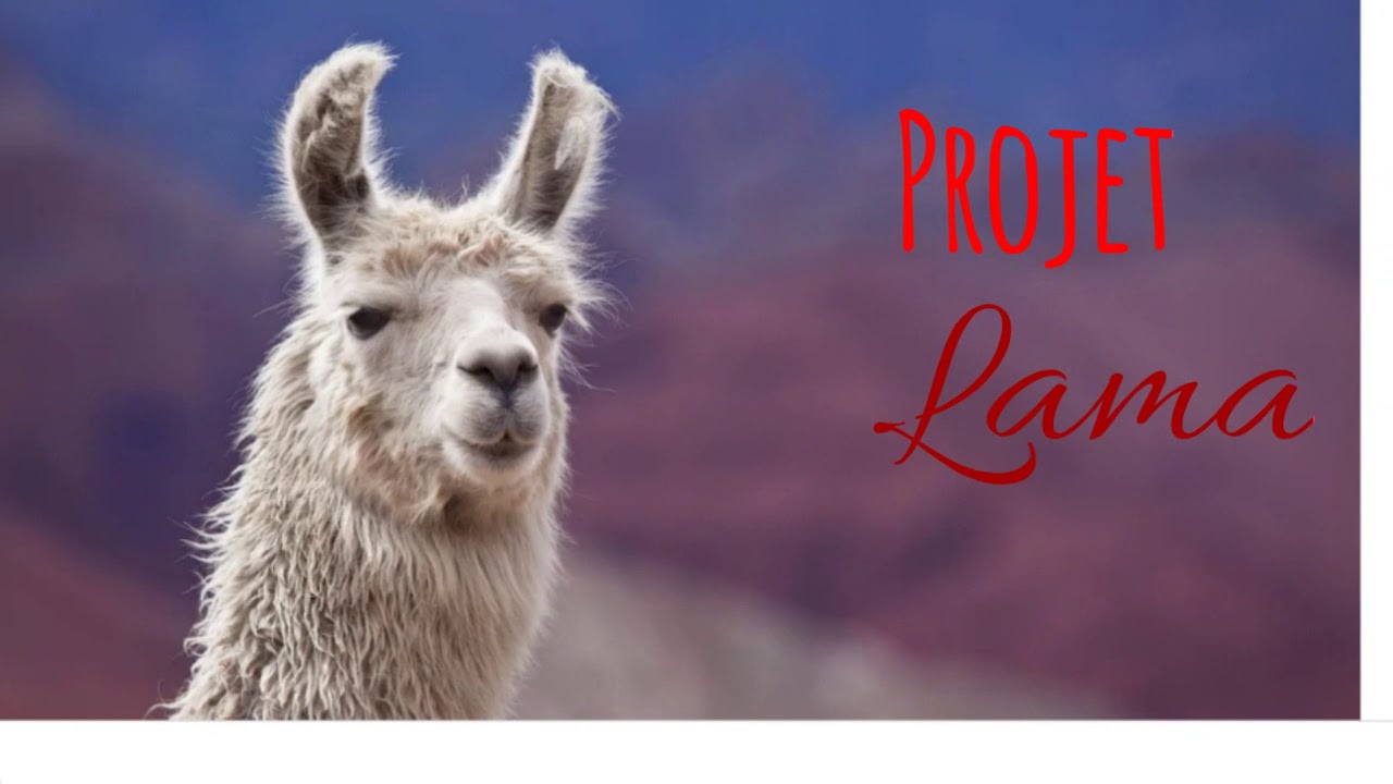 Projet lama - YouTube