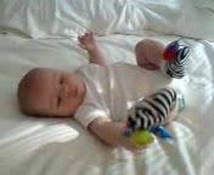 Bug socks... fascinating