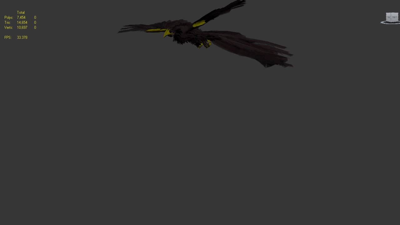 Bird - Take off animation - YouTube