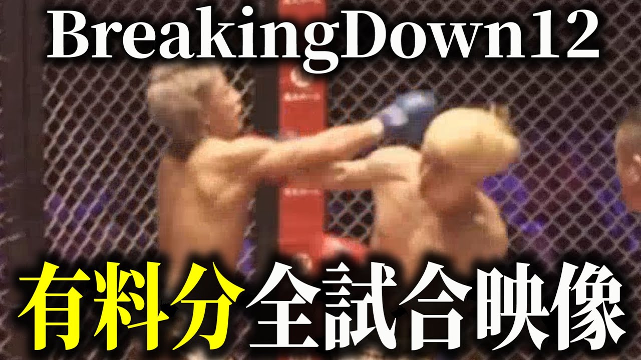 BreakingDown12全試合映像公開【ブレイキングダウン】【朝倉未来】 - YouTube