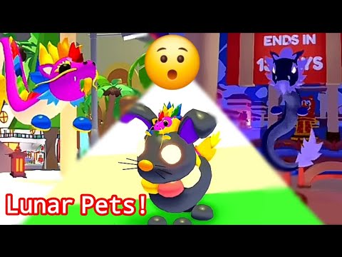☆🐲New Lunar Pets Are So Cool!🧧 - YouTube
