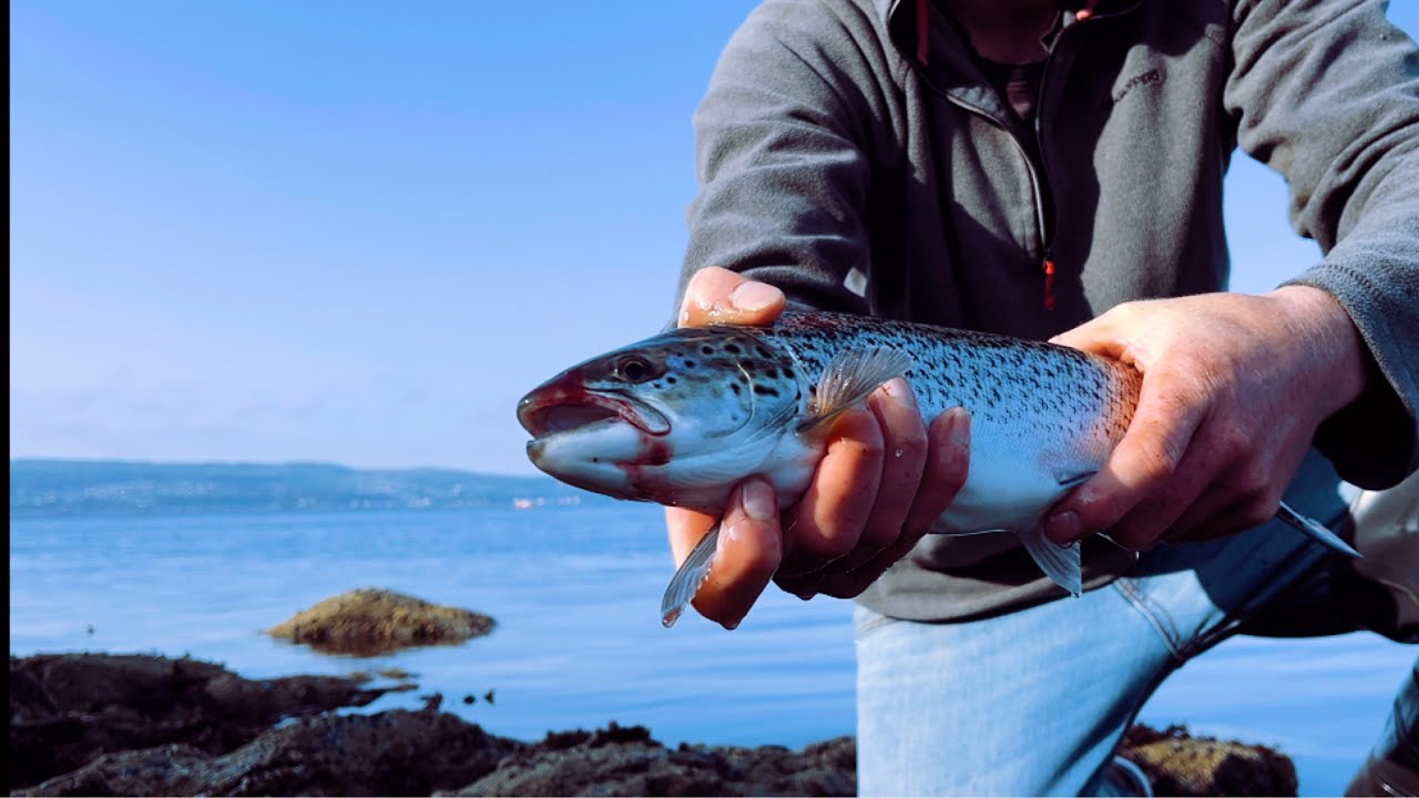 Tips That Will Help You Catch Sea Trout!!! - YouTube