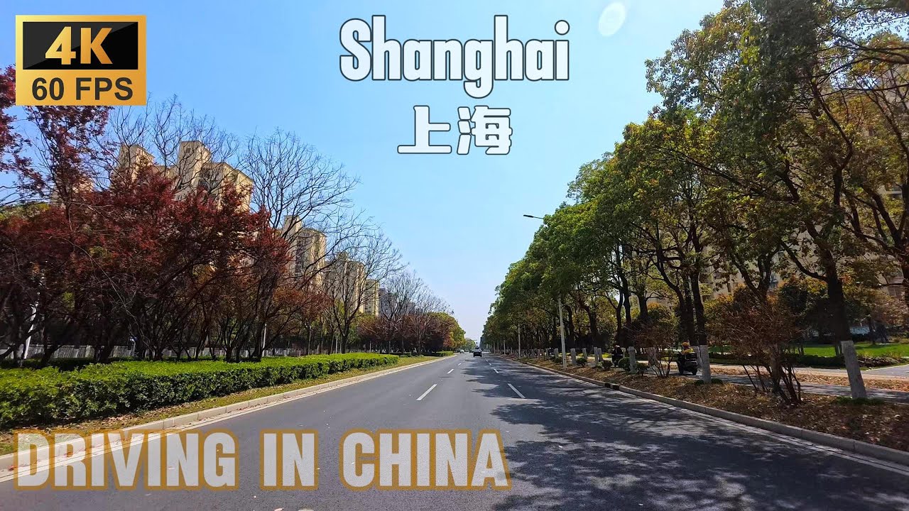 Driving in Shanghai｜Driving on Zhangyang Road on a sunny afternoon｜4K ...