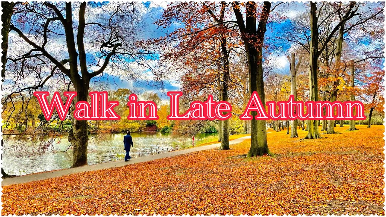 走进深秋，Walk in Autumn, lake/leaves/birds/trees/woodland/colour/Autumn ...