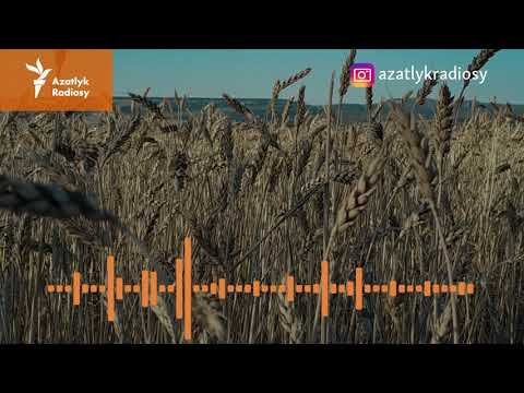 Lebapda MHM bugdaý garawullaýar