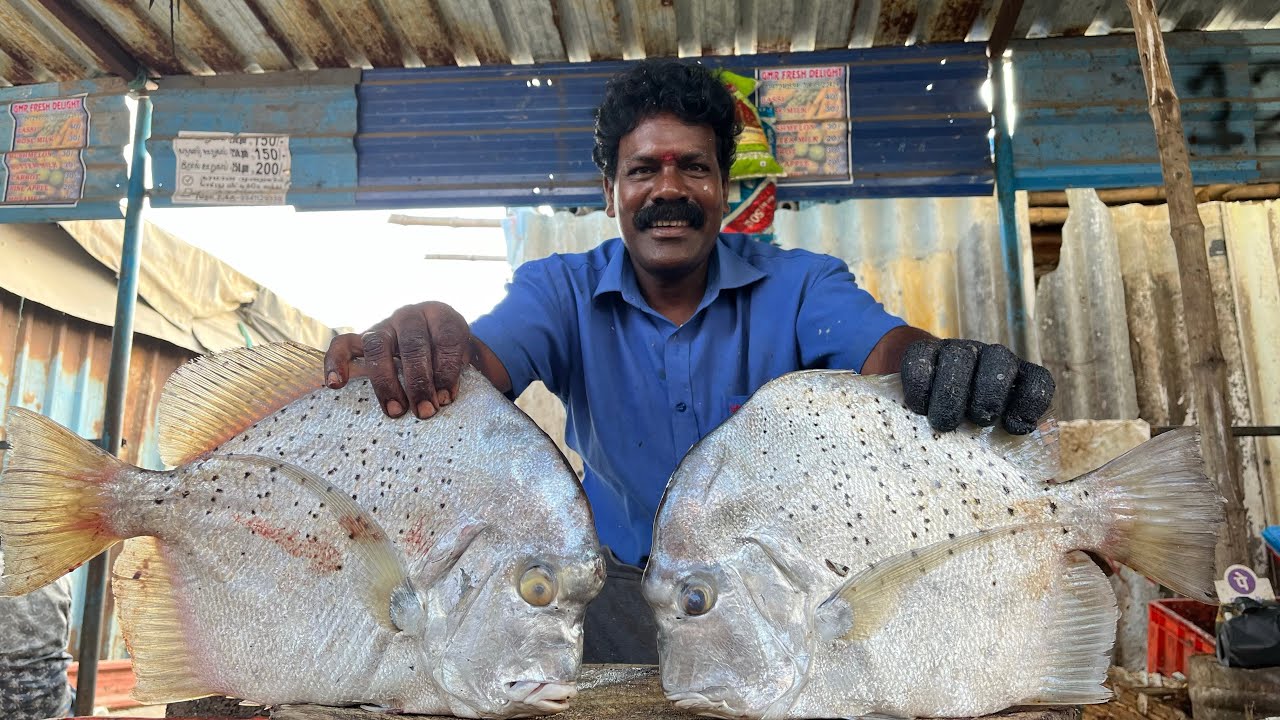 PULLI THARATA FISH 🐠 AMAZING CUTTING BY KASIMEDU SEKAR ⚔️🔥 - YouTube