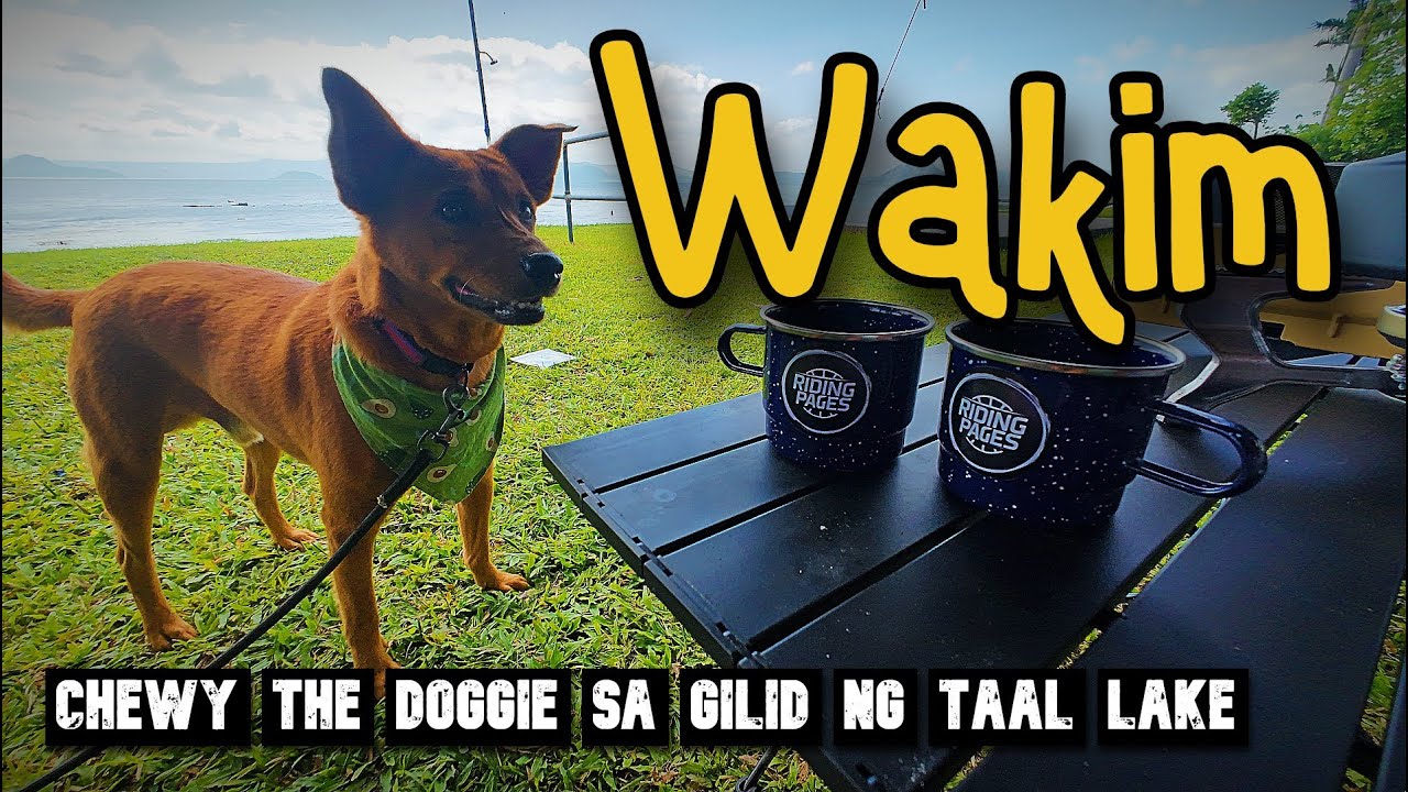 Day tour kasama si Chewy | Wakim Lake Resort, Talisay Batangas - YouTube