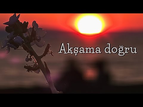Dikili Günlükleri | Günbatımına Doğru