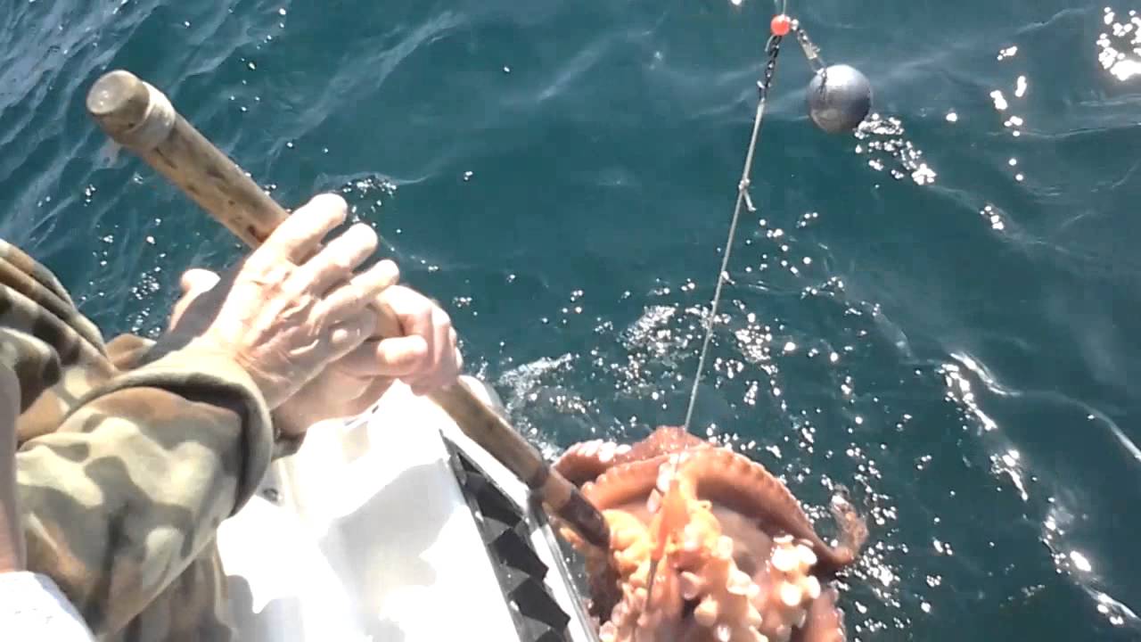 Catching a Octopus in Alaska - YouTube
