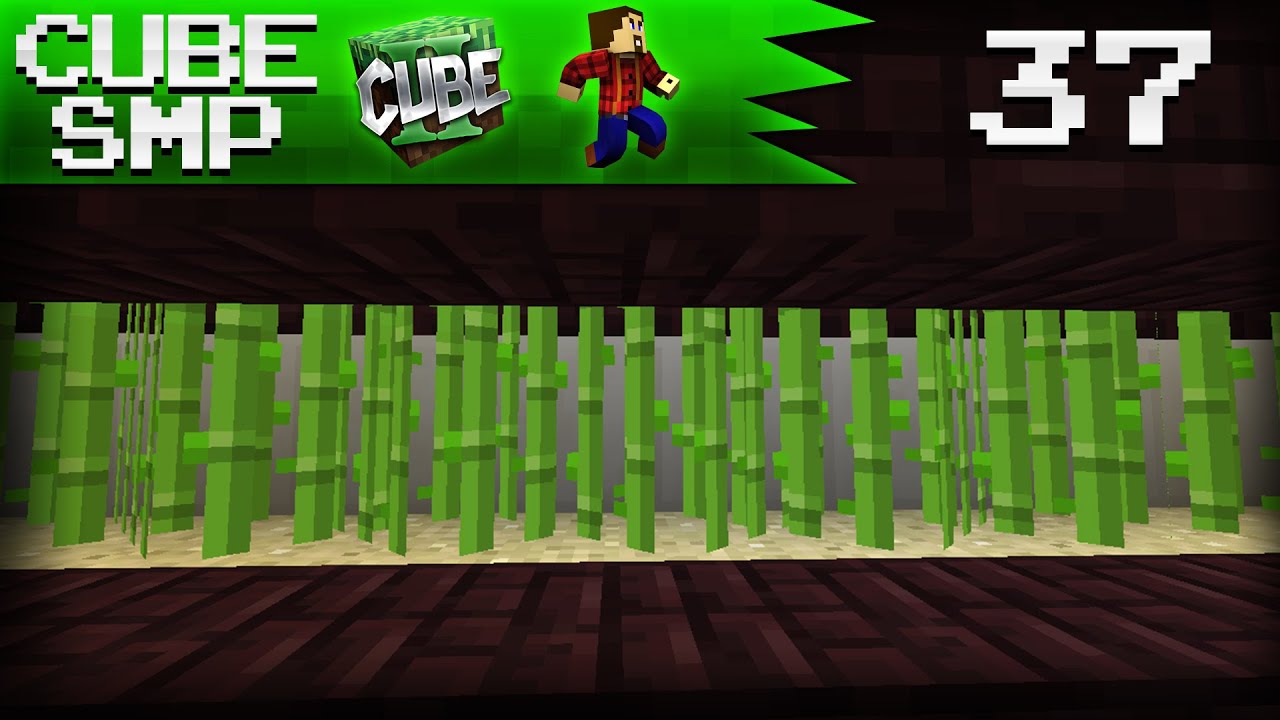 Minecraft Cube SMP: Sugar Cane Farm! - Ep 37 - YouTube