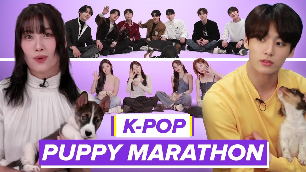 Every K-Pop Group Doing The Puppy Interview! - YouTube