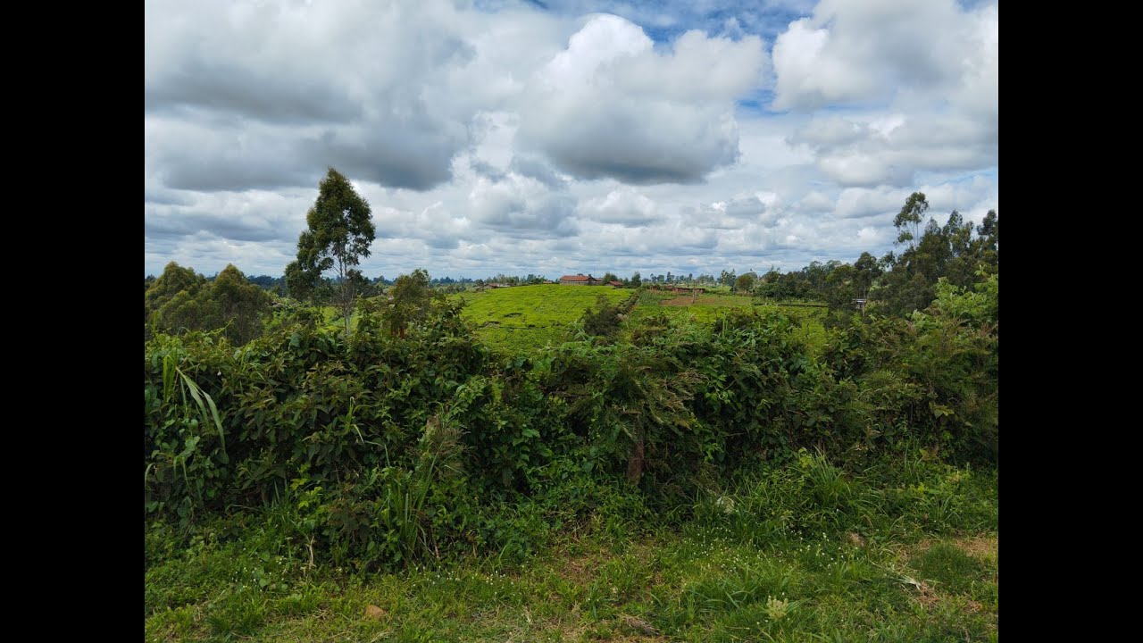 PRAYERS||BRIAN OSEKO - YouTube