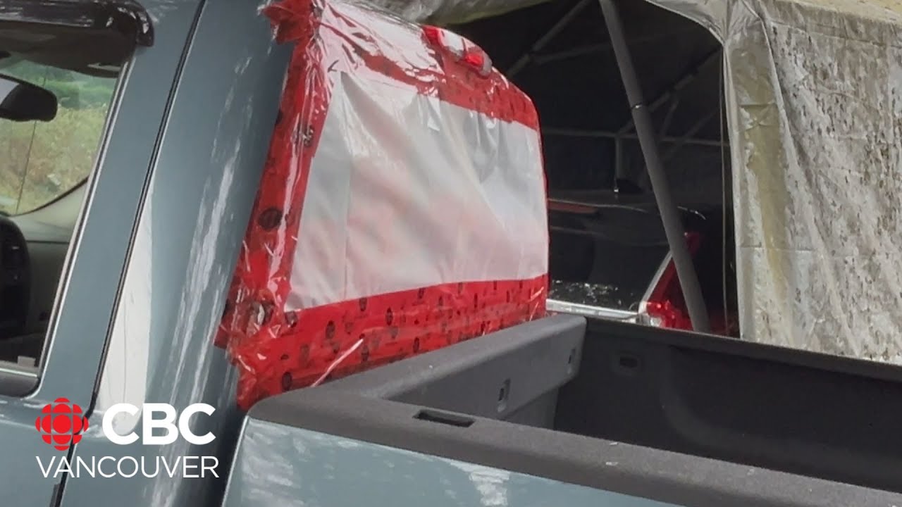 Vandals damage dozens of vehicles across Nanaimo - YouTube