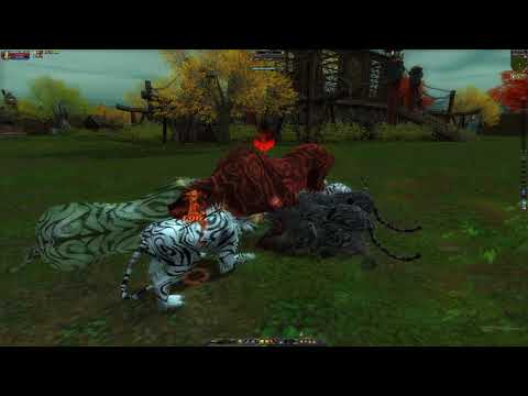 Silkroad Online In 4k - Level 55 - Killing Tiger Girl