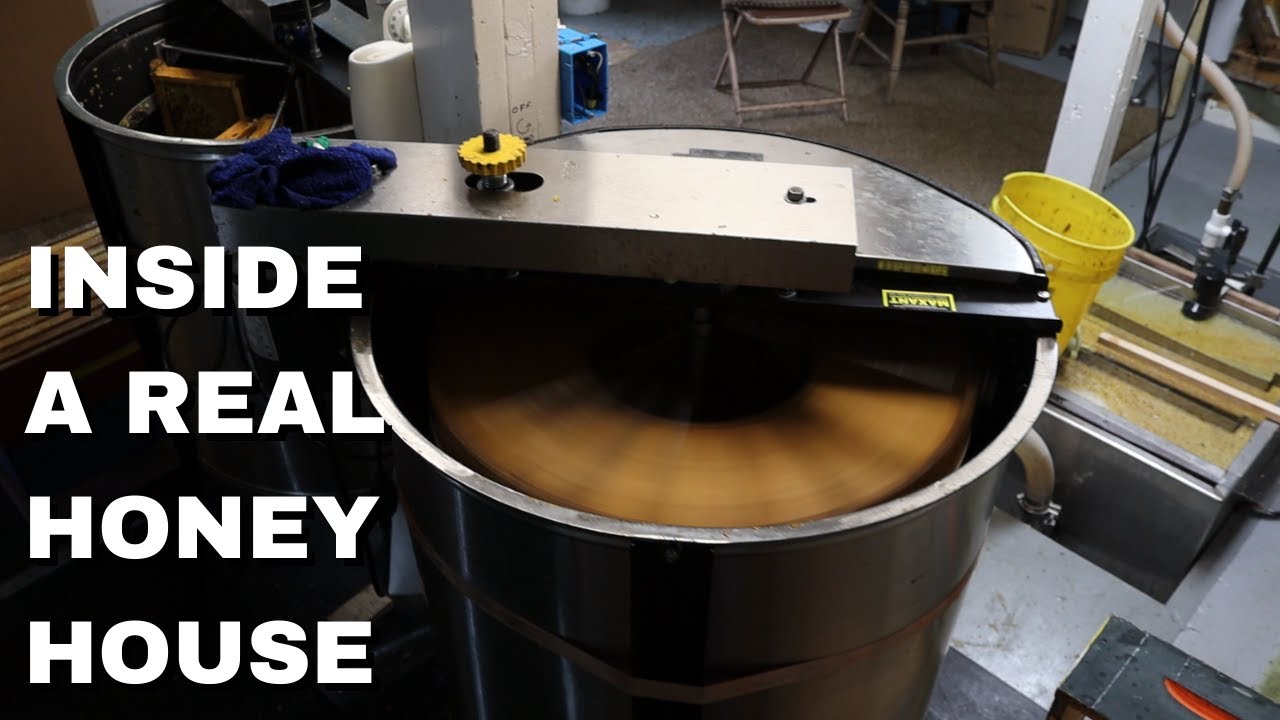 A Look Inside a Real Honey House! #honey #honeybees #beekeeping - YouTube