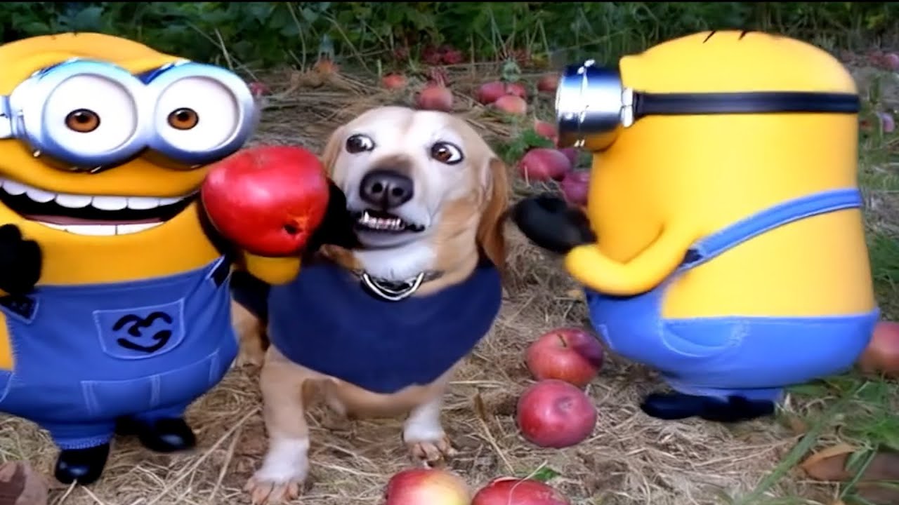 Dog with Apple in Mouth | Apple Dog AI Memes Compilation - YouTube