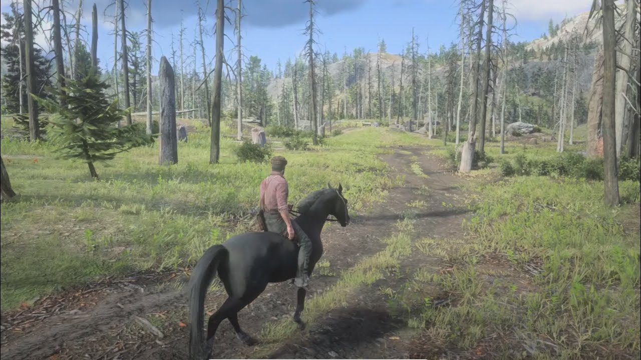 Red Dead Redemption 2 - Explore the Gorgeous Scenery Room - PS5 - 4K ...