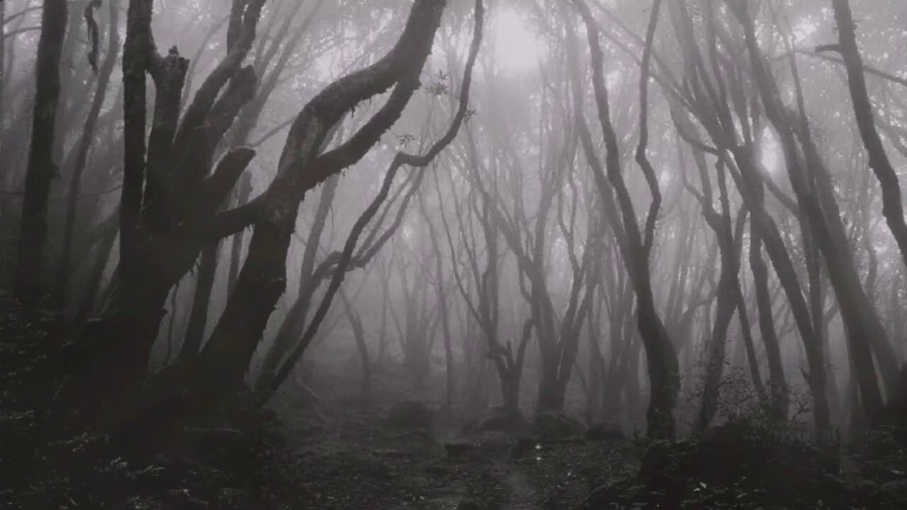 Silent Hill 2 - Forest Trail - YouTube