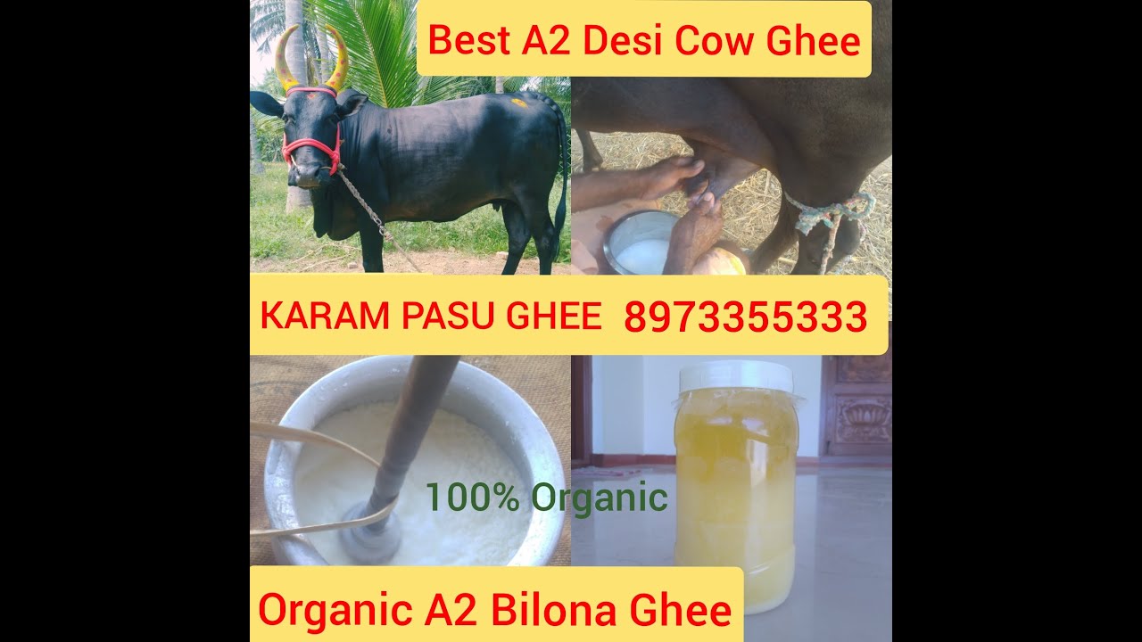 KARAM PASU GHEE காராம் பசு நெய் #a2ghee DESI COW ORGANIC BILONA GHEE ...