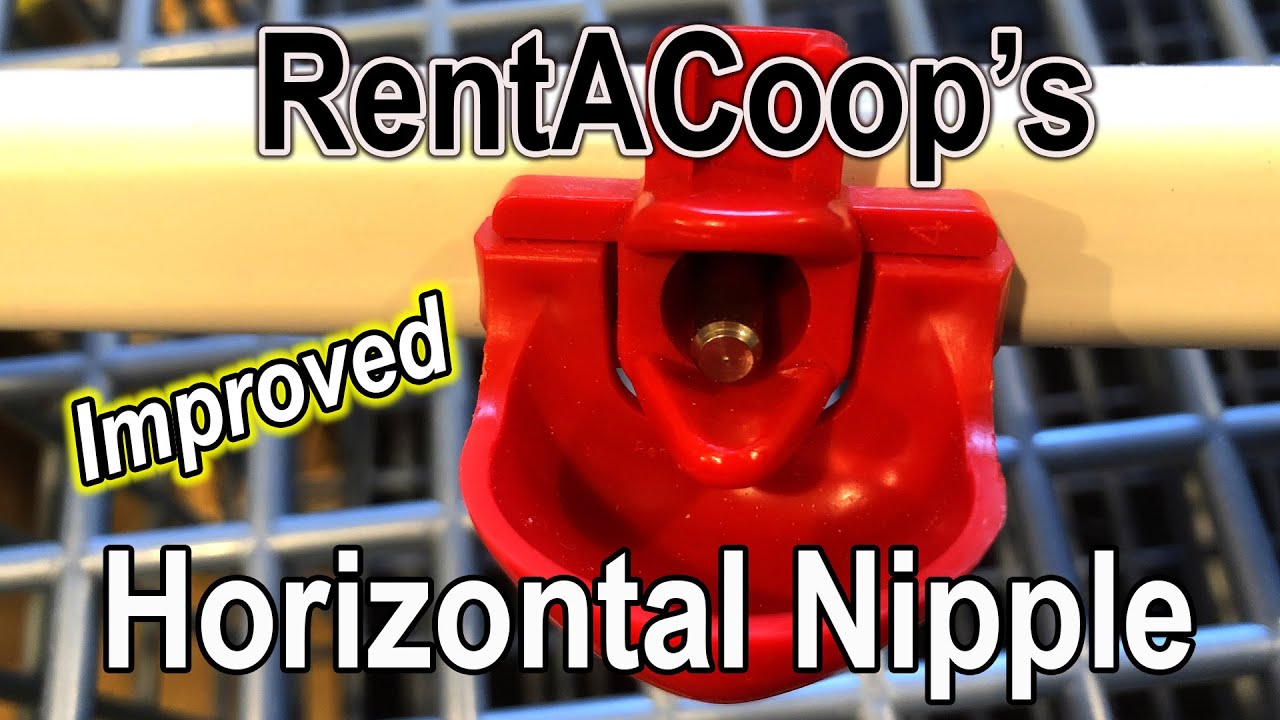 An Improved Water System for your Coturnix Quail - Horizontal Nipples ...