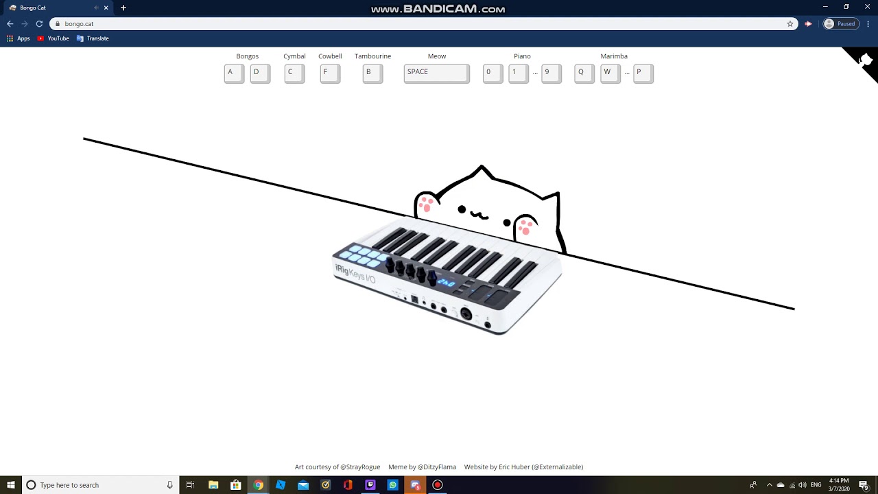 Bongo cat wishes you a happy birthday - YouTube