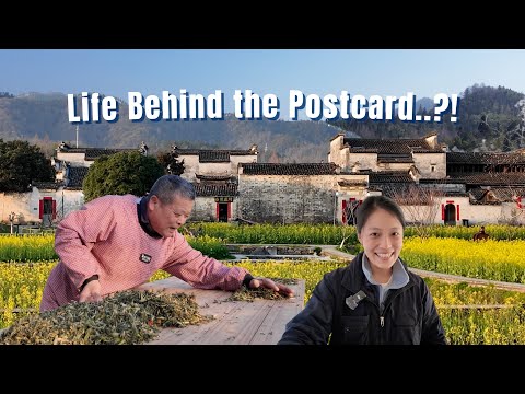 What Rural Life in a Chinese UNESCO Village is Actually Like (Xidi) | This is China?! Ep. 13