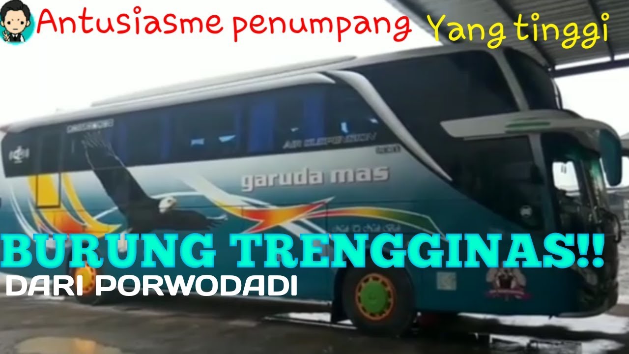 Sejarah singkat po garuda mas - YouTube