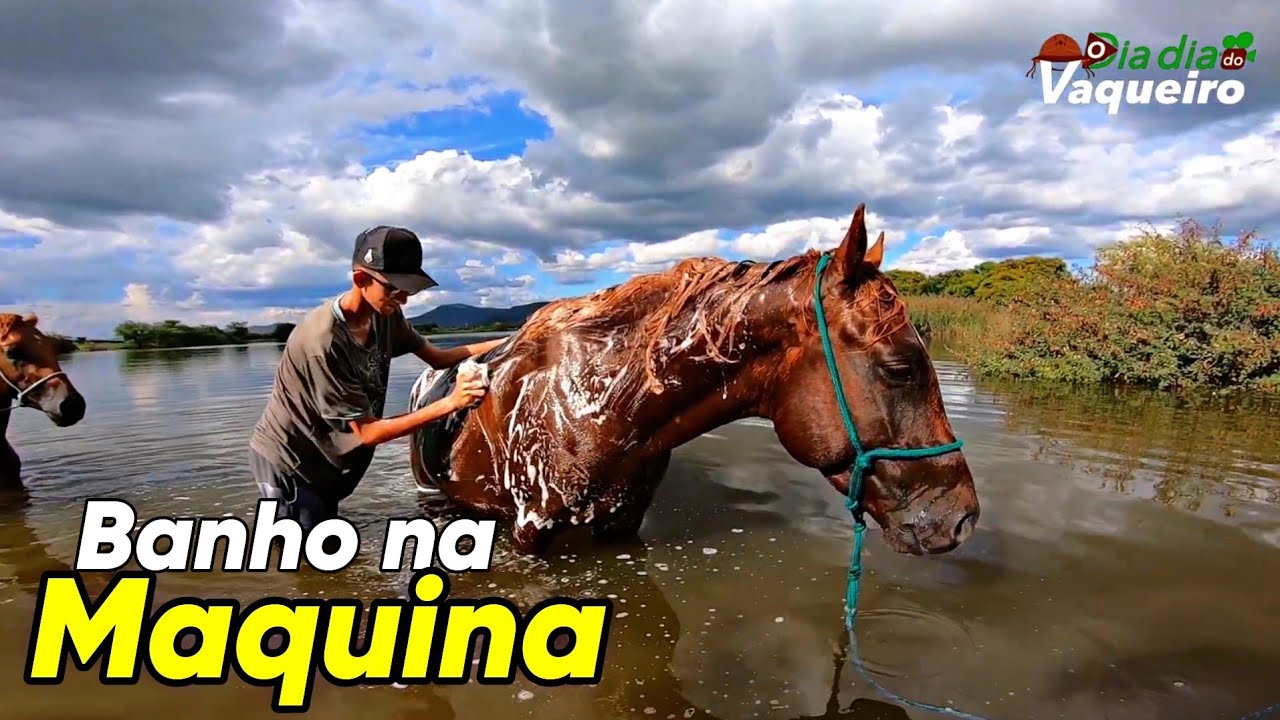 GABRIEL DANO UM BANHO NA MÁQUINA | O DIA DIA DO VAQUEIRO. - YouTube
